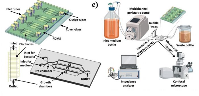 Microfluidic Biofilm Formation & Antibiotic Testing Device Microfluidic Biofilm Formation & Antibiotic Testing Device