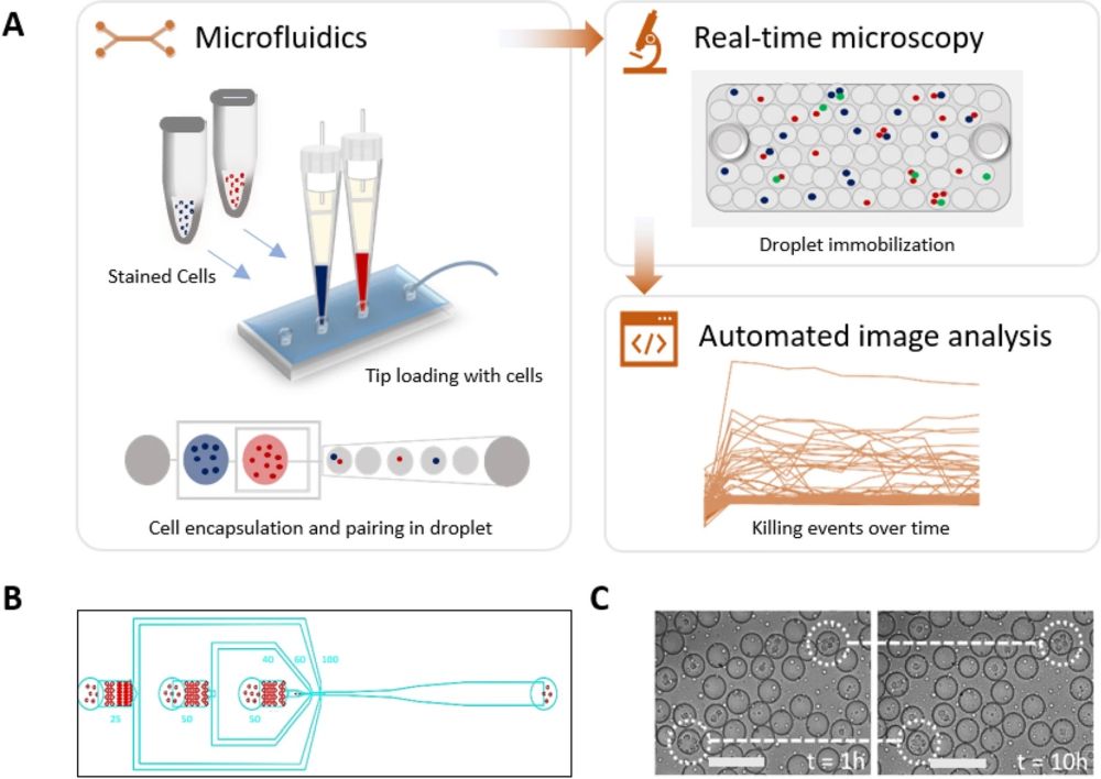 Microfluidics on Analysis of Single Natural Killer Cells | uFluidix
