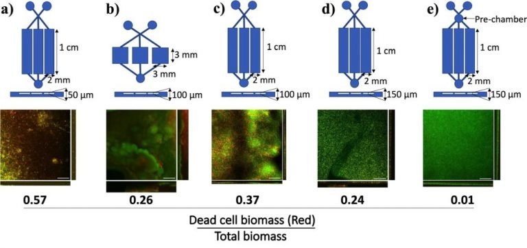 Microfluidic Biofilm Formation & Antibiotic Testing Device Microfluidic Biofilm Formation & Antibiotic Testing Device