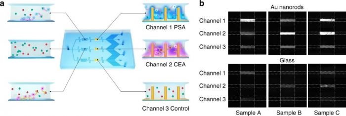 Enhancing the sensitivity of microfluidic immunoassays by nanorods ...
