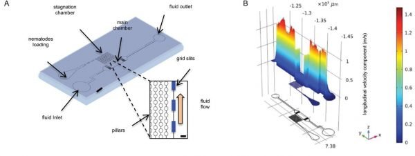 Microfluidics Olfactory Neurons & Mechanosensitivity | UFluidix