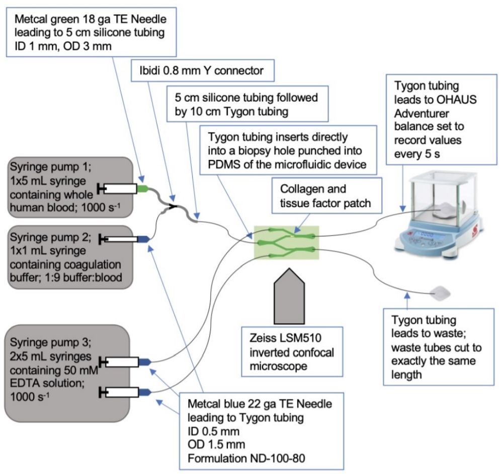 Occlusive thrombosis-on-a-chip for monitoring antithrombotic drugs