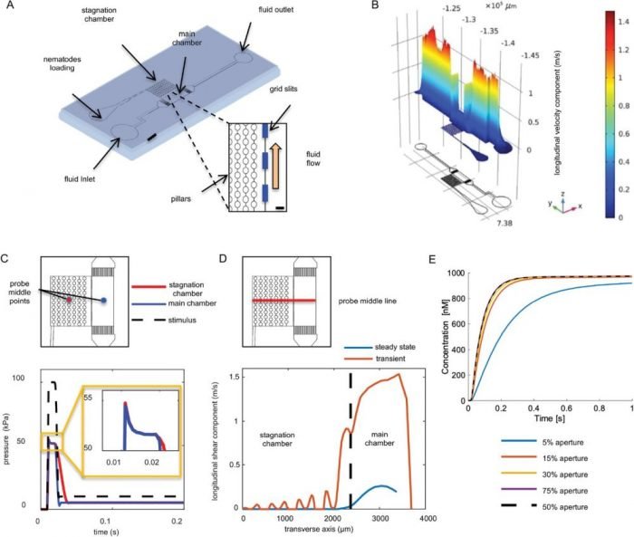 Microfluidics Olfactory Neurons & Mechanosensitivity | UFluidix