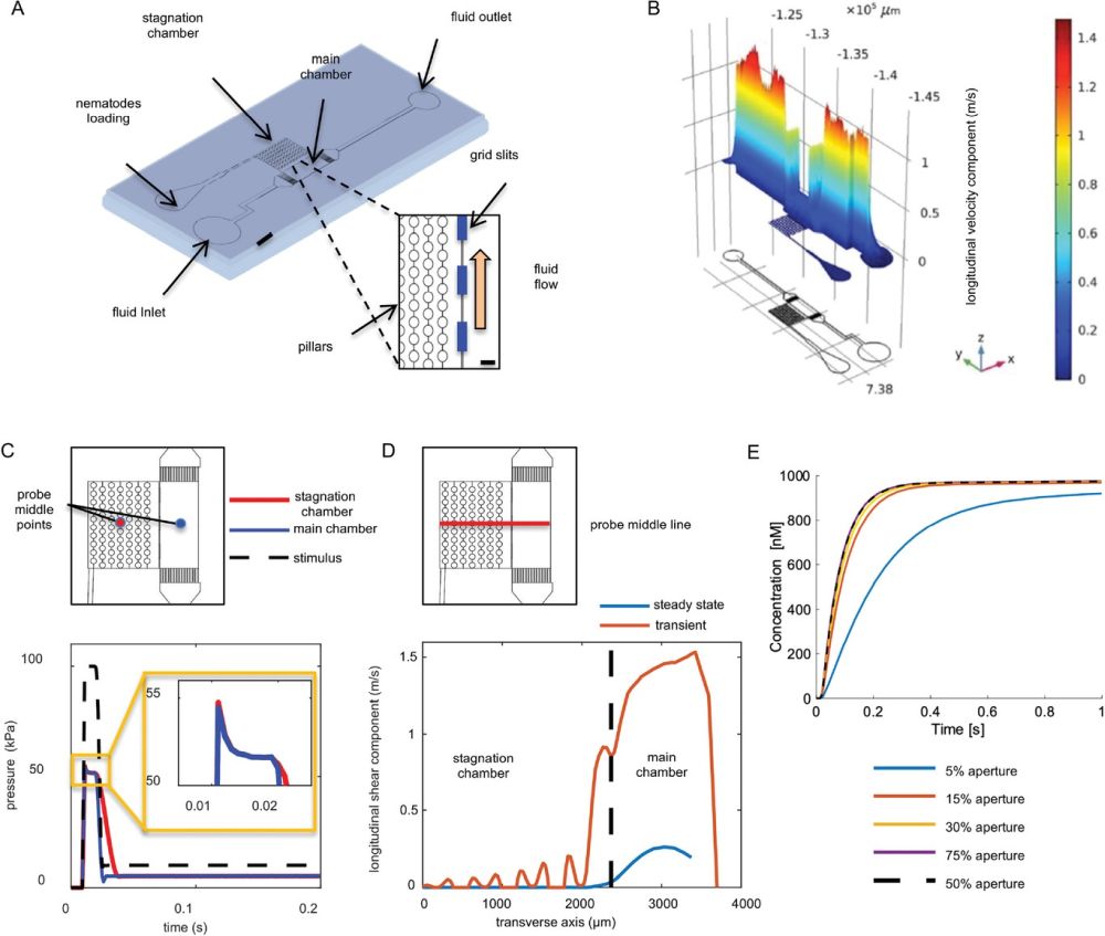 Microfluidics Olfactory Neurons & Mechanosensitivity | UFluidix