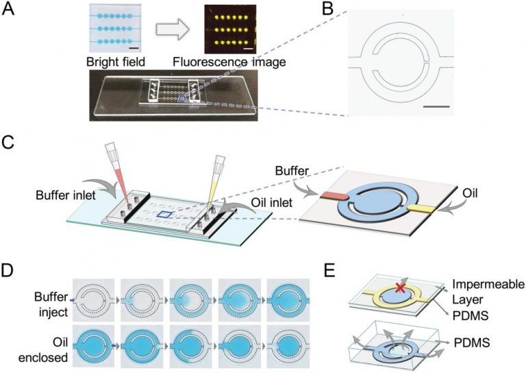 Microfluidic Platform for LAMP Amplification | uFluidix
