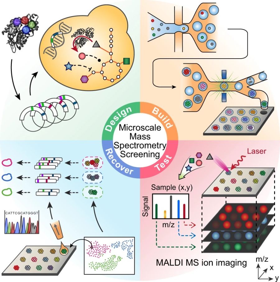 Droplet microfluidics enables sensing of product formation | uFluidix