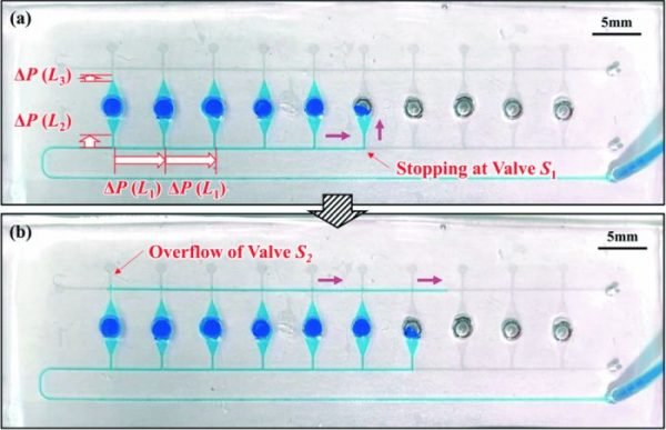 Multiplexed Diagnosis of Viral Diseases with Microfluidics
