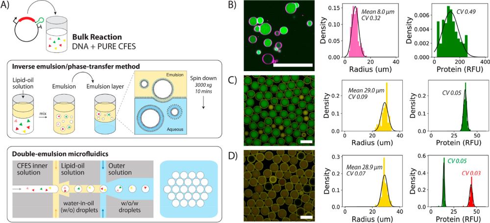 Double Emulsions for Gene Expression Analysis | uFluidix