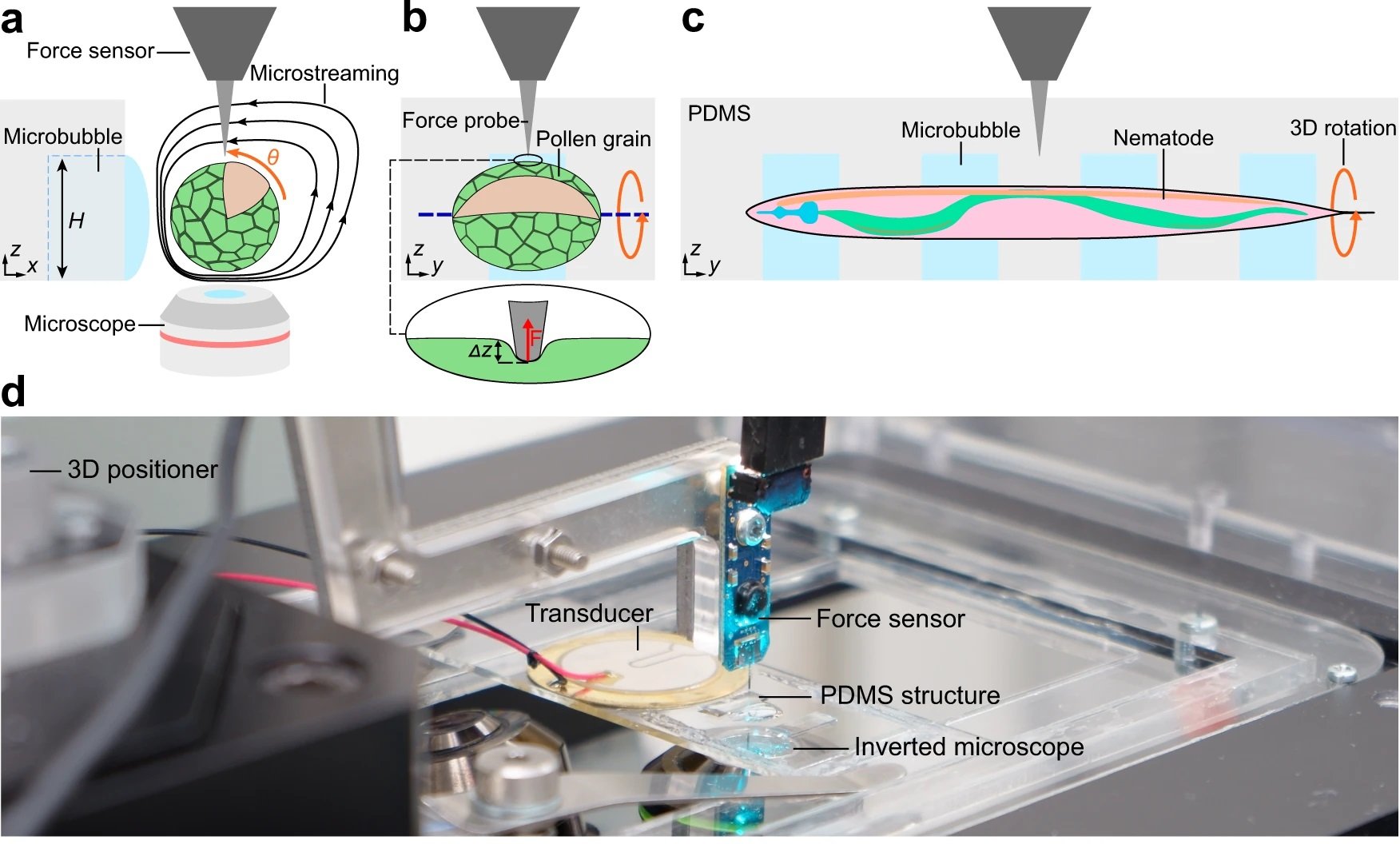 Integrating Acoustic Manipulation with Microfluidics