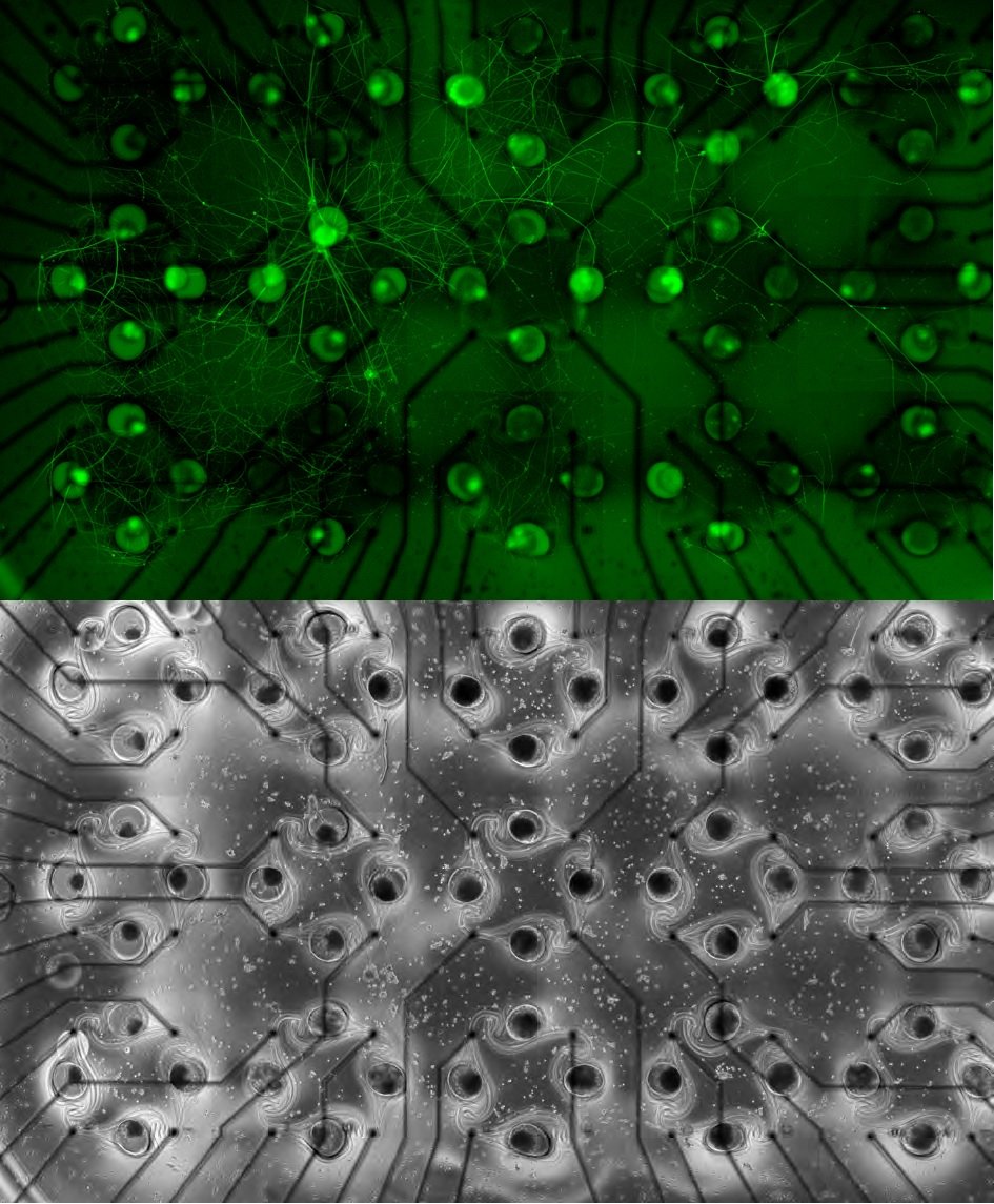 Microfabricated Structures | Microfluidics | uFluidix