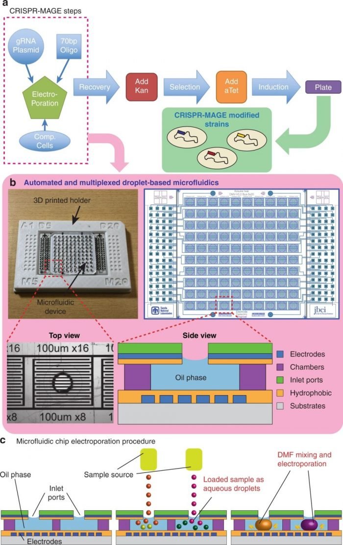 Droplet-based Microfluidic System | uFluidix