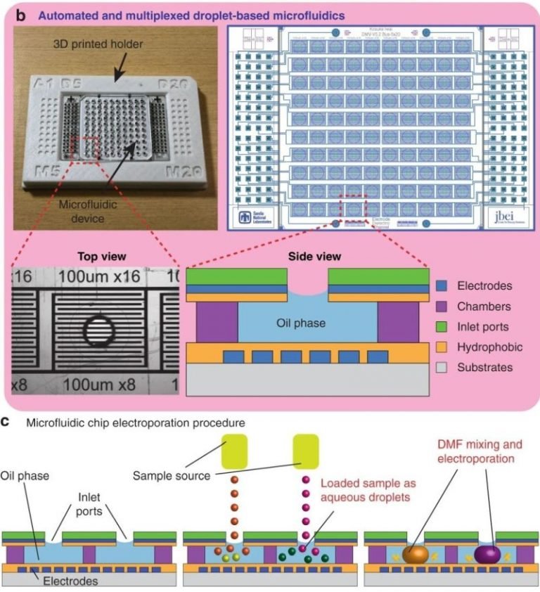 Droplet-based Microfluidic System | uFluidix