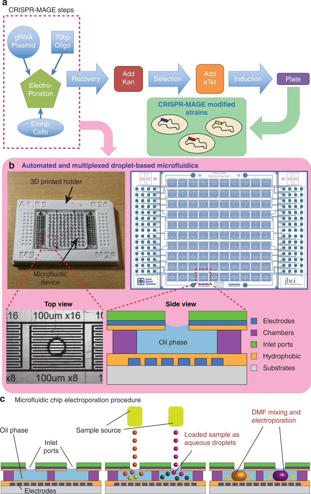 Droplet-based Microfluidic System | uFluidix