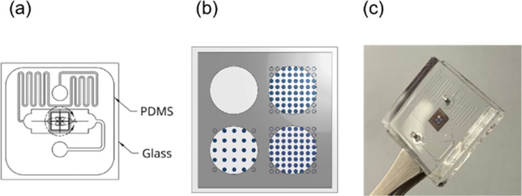 Portable Microfluidic Platform For Biomarker Sensing