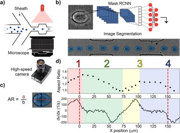 Mechanotyping of Cells Using Assisted Microfluidics | uFluidix