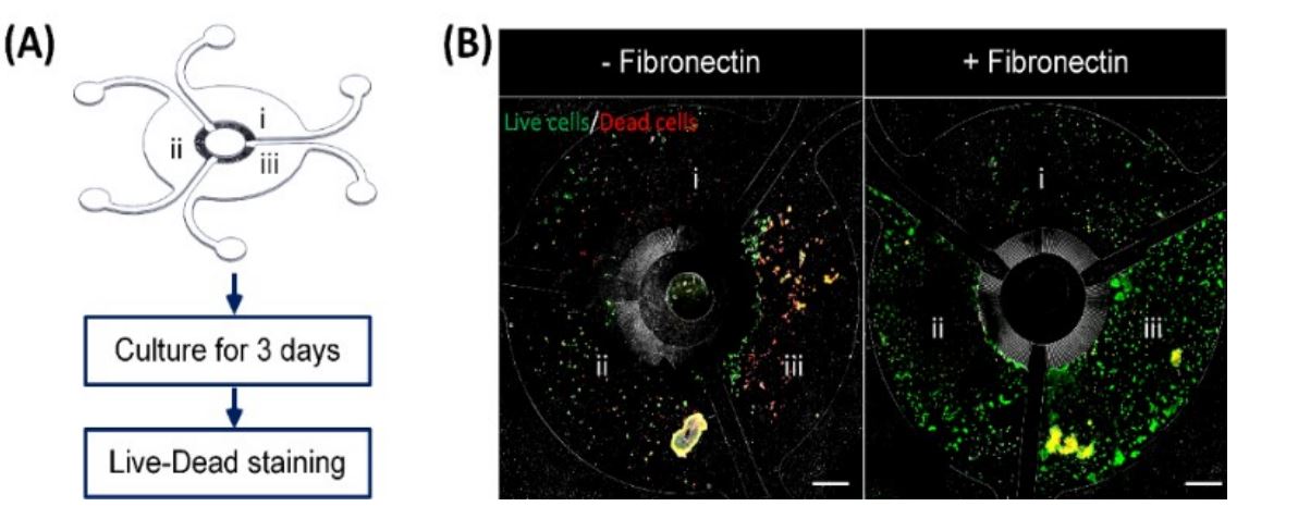 Machine learning-aided microfluidic platform for drug screening