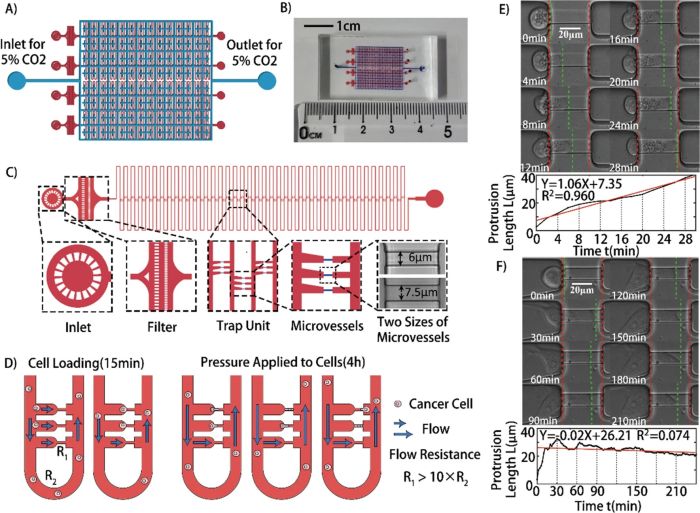 Microfluidic analysis of cancer cell response to mechanical stresses