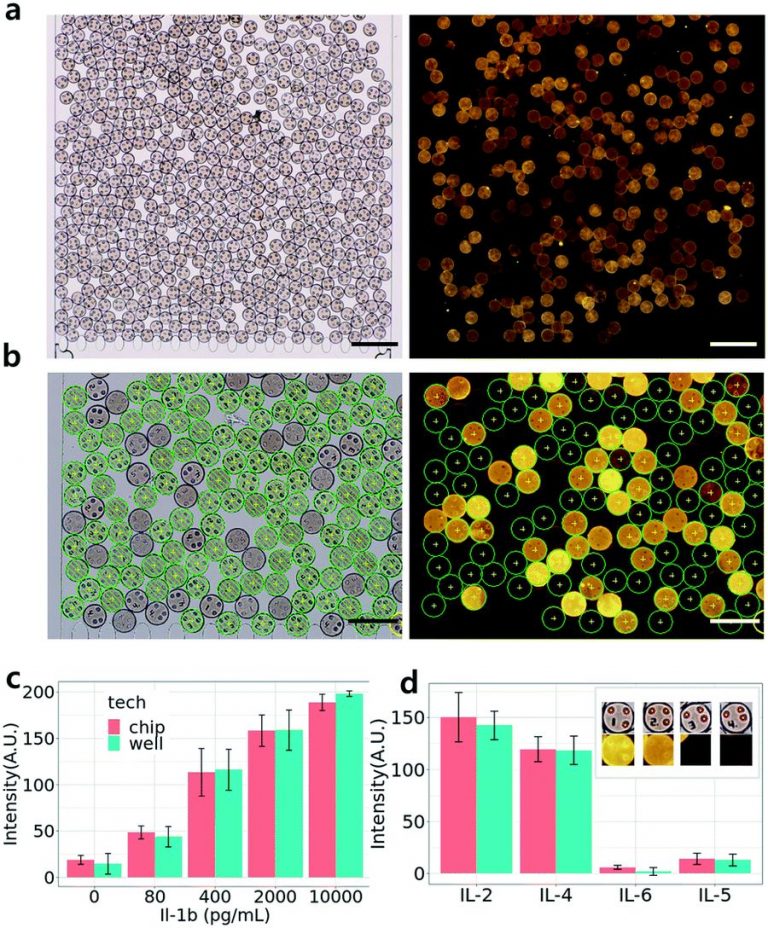 Monolayer assembly of microparticles for multiplexed immunoassays