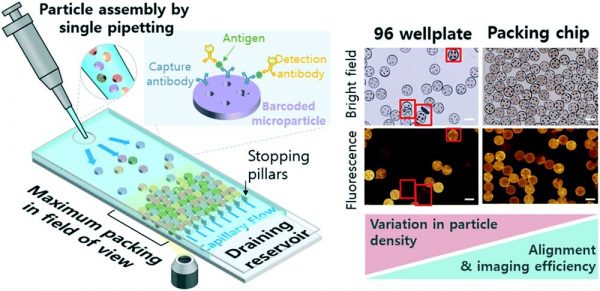 Monolayer assembly of microparticles for multiplexed immunoassays