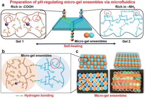 Microfluidically generated gels enhance wound healing by pH regulation