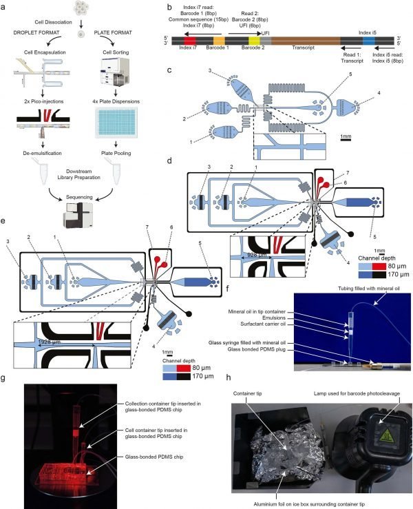 Droplet microfluidics-enabled total RNA sequencing