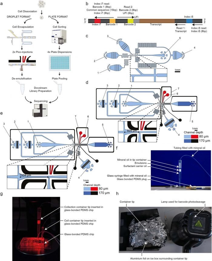 Droplet microfluidics-enabled total RNA sequencing