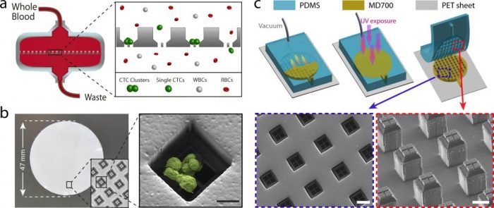 Label-Free CTC Cluster Isolation with Microfluidics | uFluidix