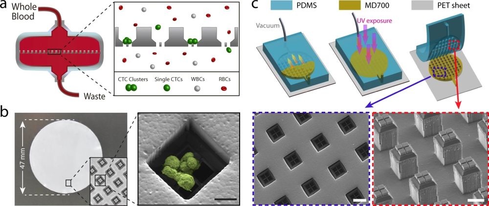 Label Free Ctc Cluster Isolation With Microfluidics Ufluidix