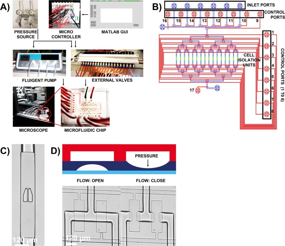Microfluidics-enabled analysis of signaling dynamics in single-cells