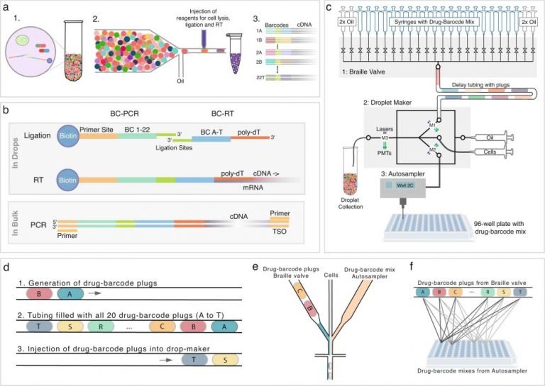 Transcriptome-based profiling using droplet microfluidics