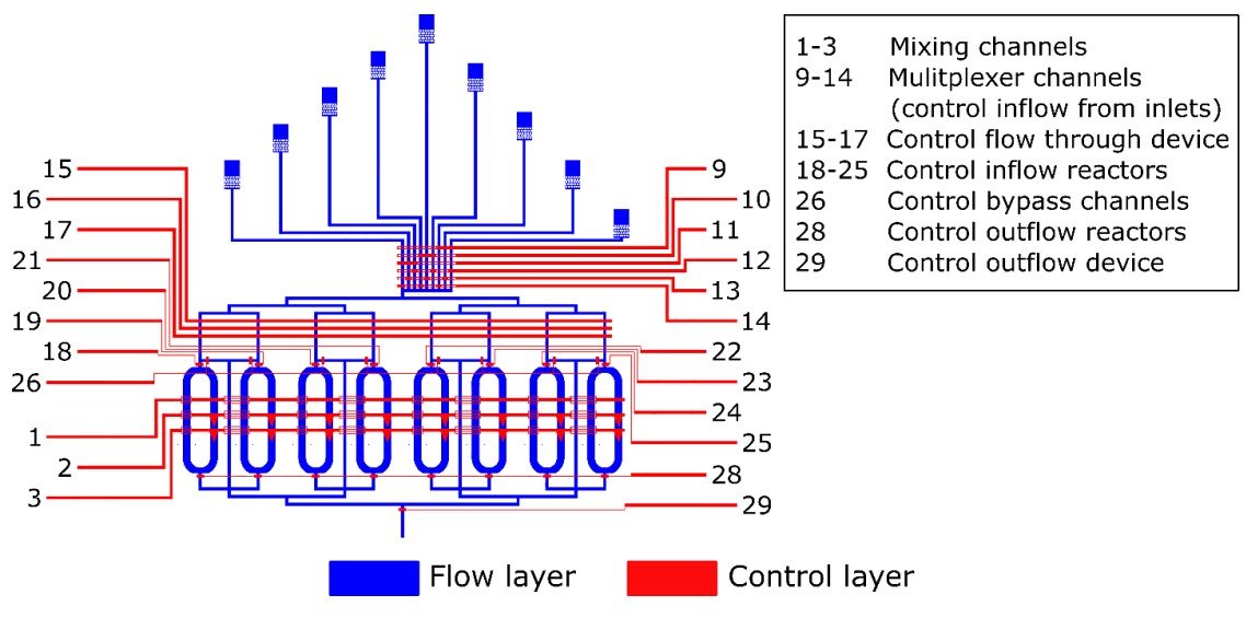 Design Cell-Free Genetic Networks with Microfluidic Chemostats