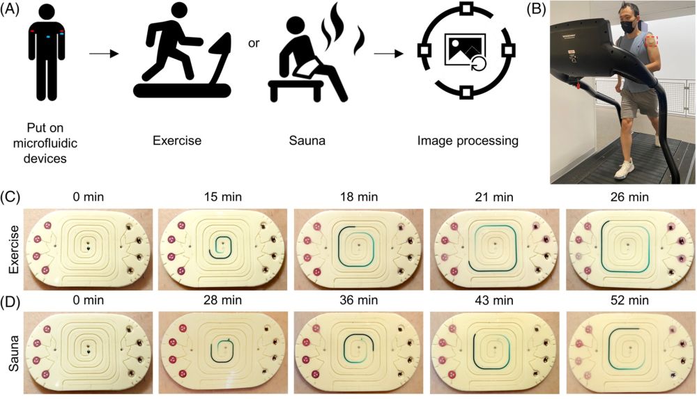 Wearable chip detects sweat rate, sweat loss, and sweat biomarkers