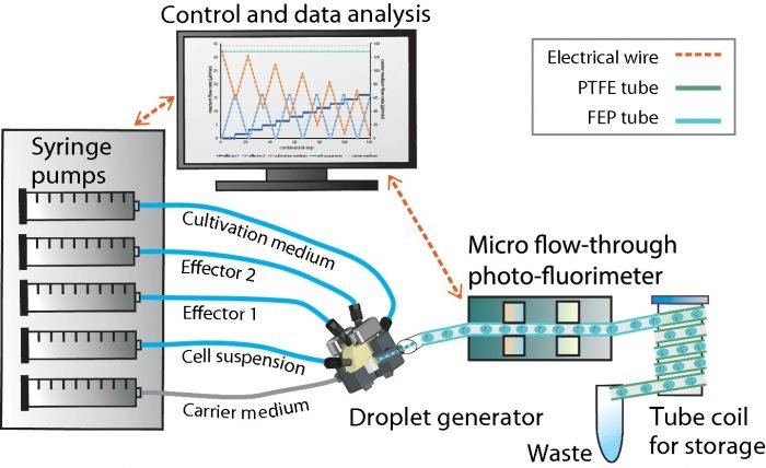 High-throughput optimization of cyanobacterial cultivation using droplet-based microfluidics