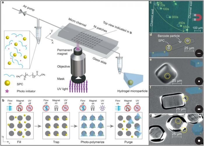 Microfluidic Barcodes to Combat Counterfeiting | uFluidix