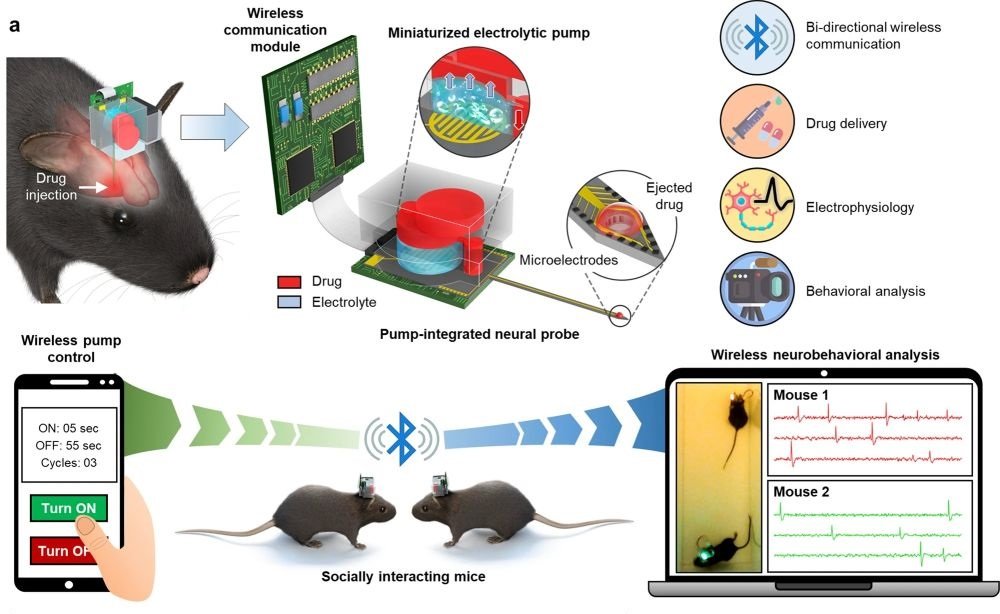 Microfluidic on real-time neural probing & wireless drug delivery