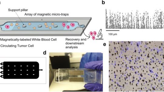 Microfluidics Fabrication Leader | Custom Microfluidics Fabrication