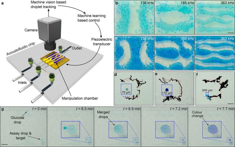 Machine learning-guided droplet microfluidic platform