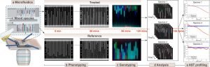 Microfluidic-assisted Analysis of Antibiotic Susceptibility | uFluidix