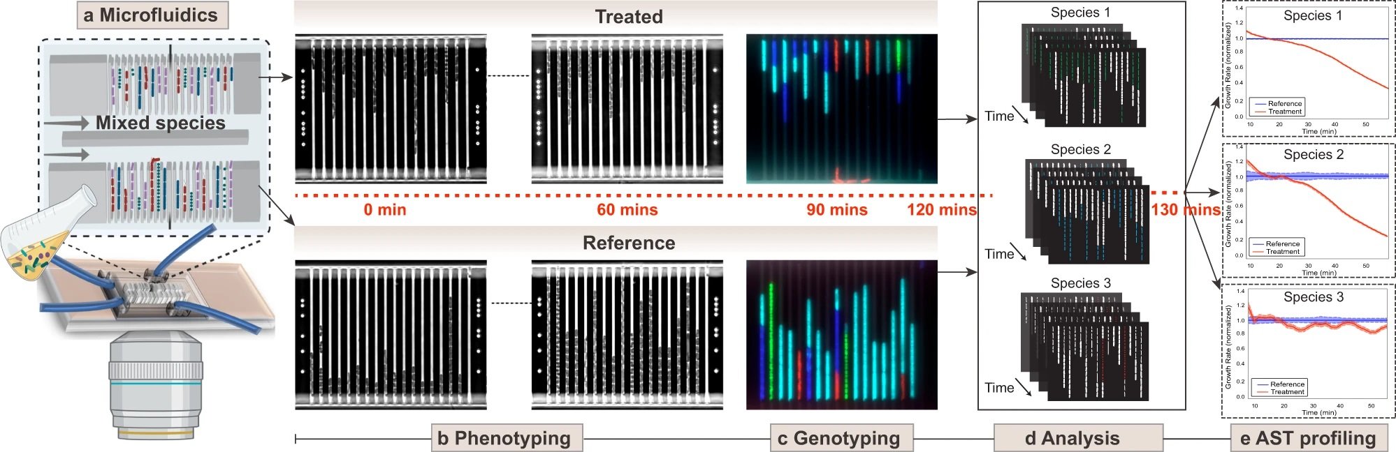 Microfluidic-assisted Analysis of Antibiotic Susceptibility | uFluidix