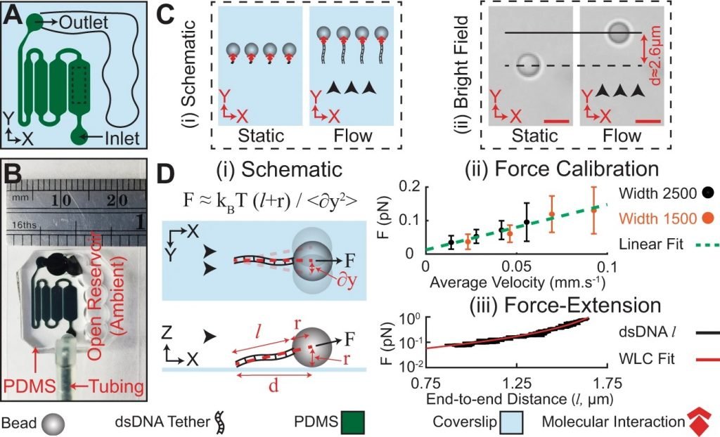Multiplexed mechanical testing of single molecules using microfluidics