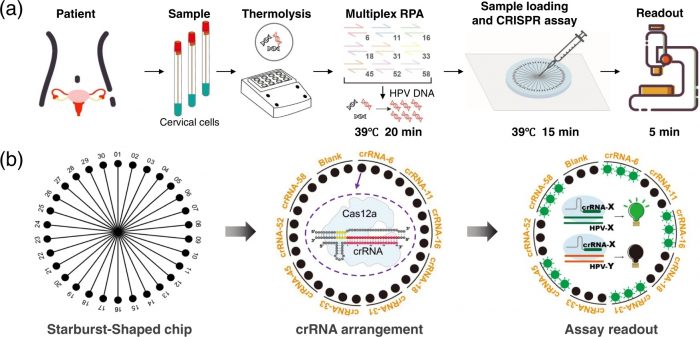 Microfluidics for CRISPR-based multiplexed detection of nucleic acids