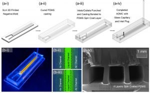 Dynamics of fluid-structure interaction studied using microfluidics