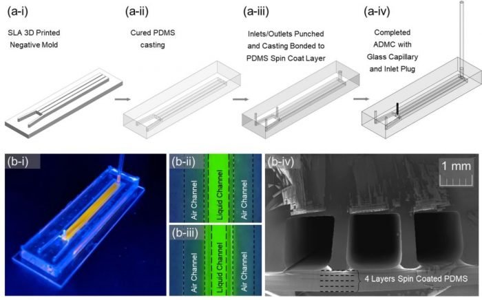 Dynamics of fluid-structure interaction studied using microfluidics