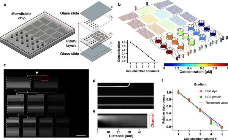 Anticancer precision medicine fostered by microfluidic technology