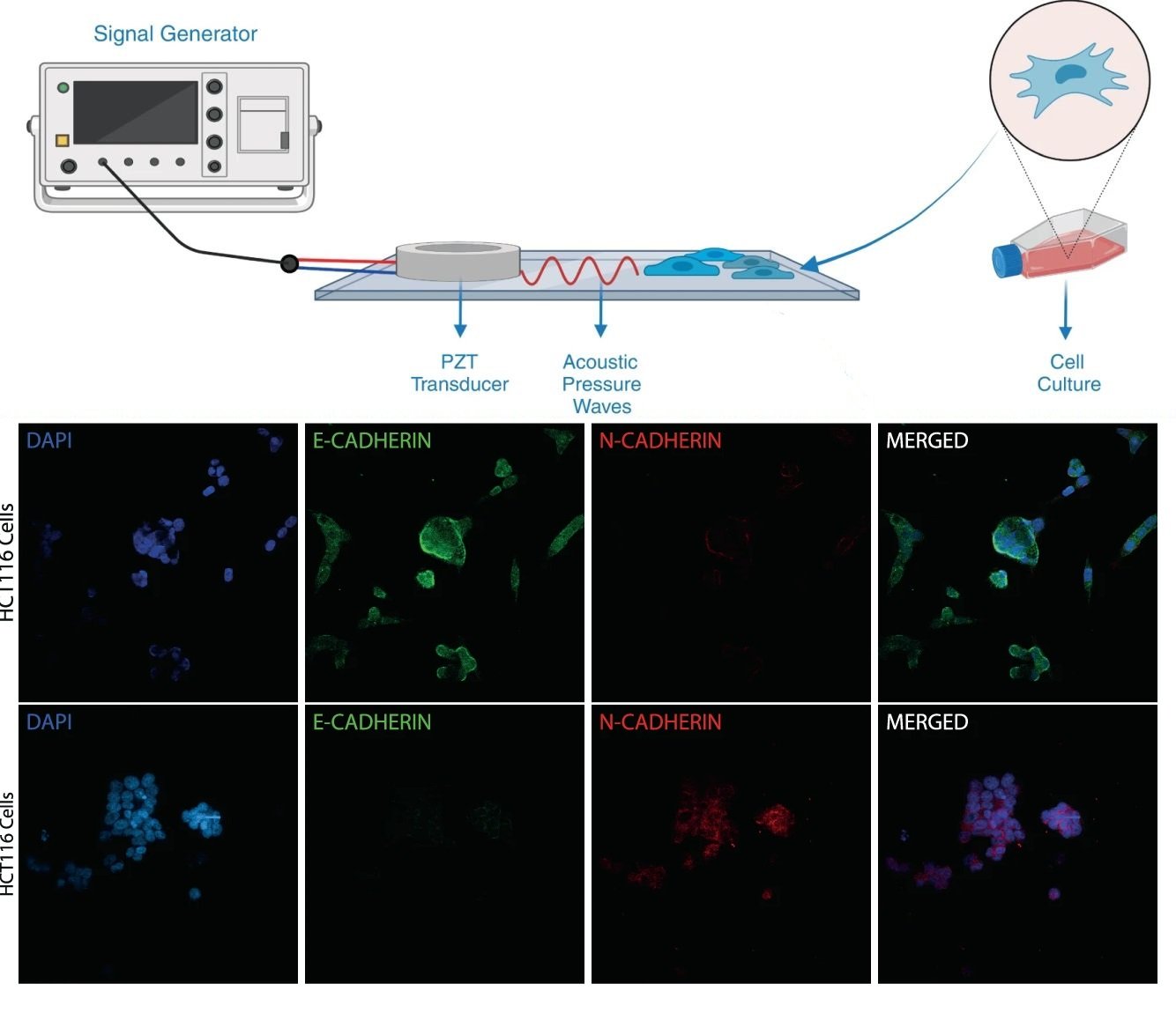 Multi Parameter Quantitative Mapping Of Microfluidic Devices At Hudson