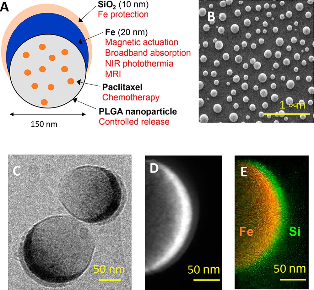 Microfluidic Drug-Loaded Capsules for Tumor Eradication