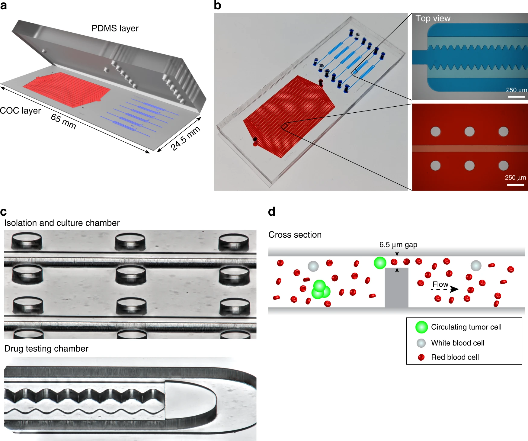 An integrated microfluidic chip for isolation, culture and drug ...