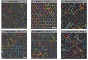 A Microfluidics Study: Bacterial Motility in Porous Microstructures