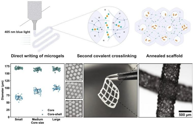 Droplet Microfluidic Bioprinting of Living Materials | uFluidix