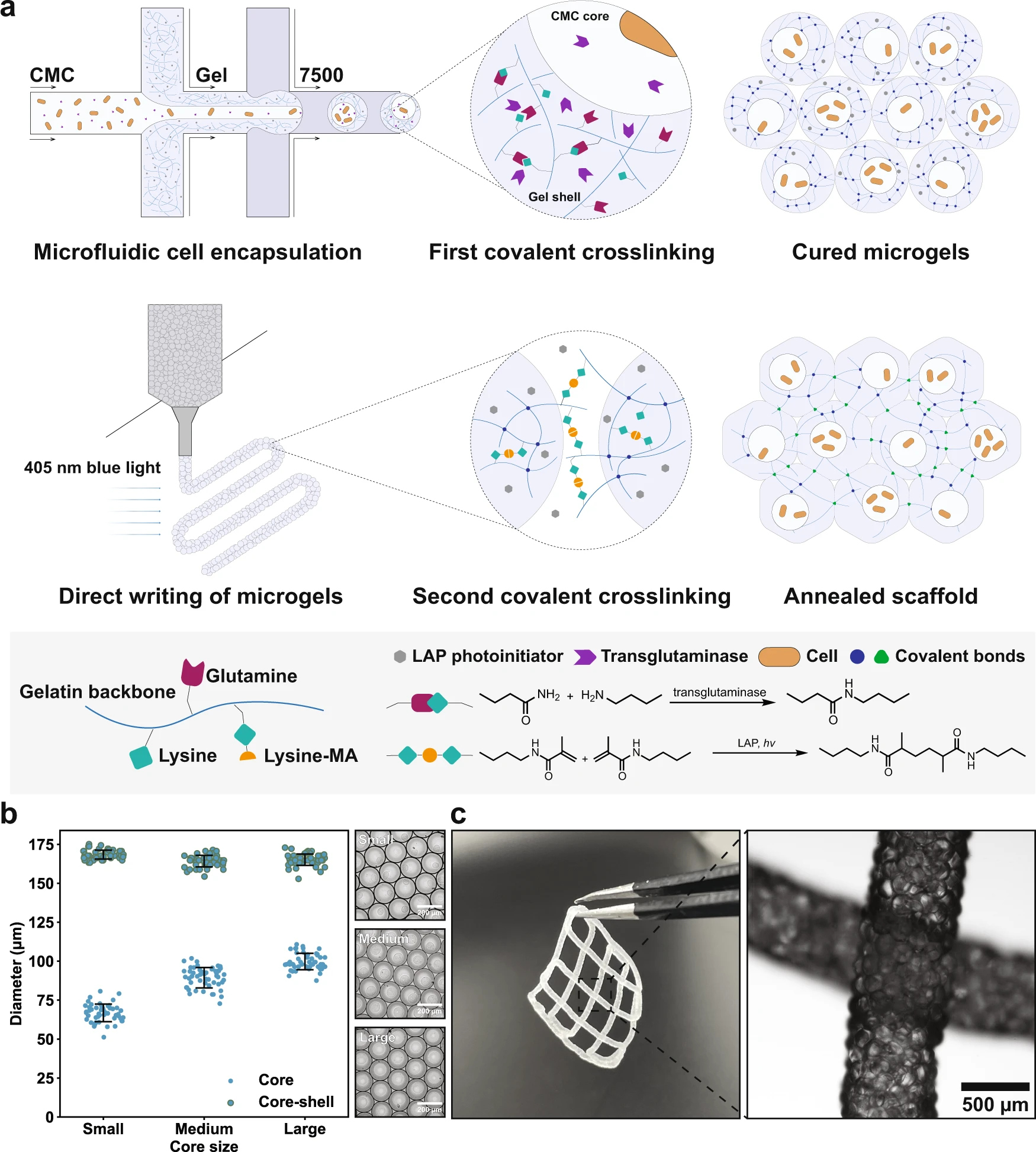 Droplet Microfluidic Bioprinting of Living Materials | uFluidix Droplet Microfluidic Bioprinting of Living Materials | uFluidix